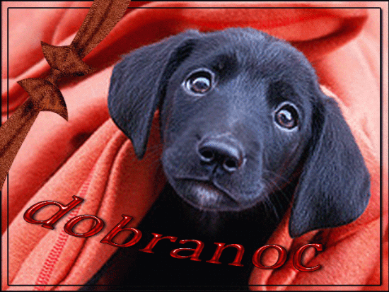 Czarny Piesek Dobranoc - Gify i obrazki na Animowane-Gify.pl