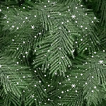 CHOINKI - Gify i Obrazki na Animowane-Gify.pl